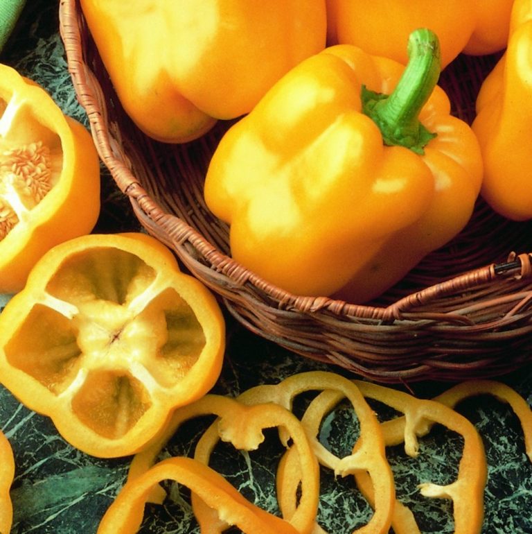 Piment Doux Early Sunsation - Jardins Michel Corbeil